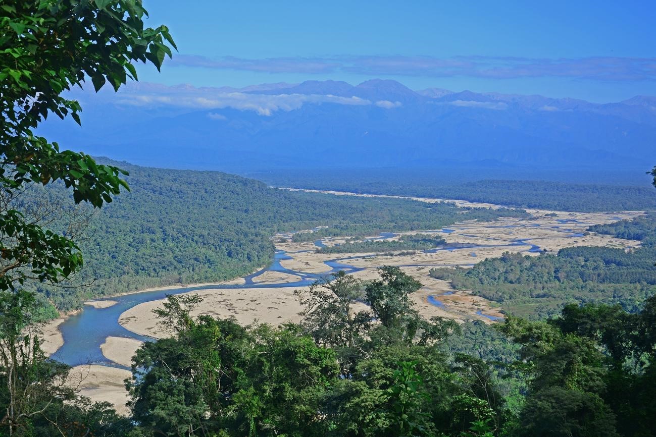 Armored catfish evolution | ForAquarist.com